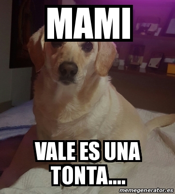 Meme Personalizado - mami vale es una tonta.... - 25983265