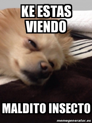 Meme Personalizado - ke estas viendo maldito insecto - 26168561