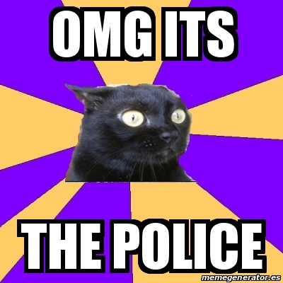 Meme Anxiety Cat - Omg its The police - 26245825