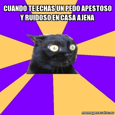 Meme Anxiety Cat - Cuando te echas un pedo apestoso y ruidoso en casa ...