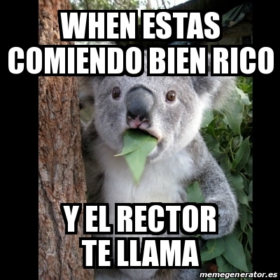 Meme Koala - when estas comiendo bien rico y el rector te llama - 26289481