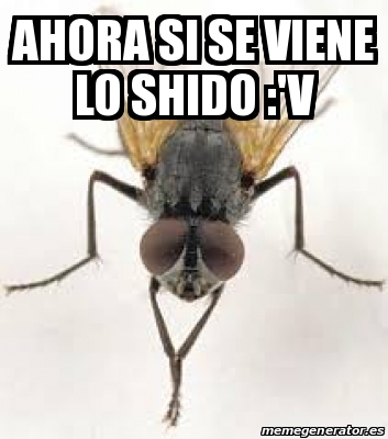 Meme Personalizado - AHORA SI SE VIENE LO SHIDO :'V - 26488445