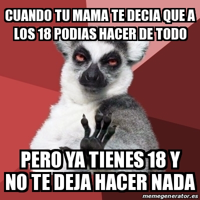 Meme Chill Out Lemur - cuando tu mama te decia que a los 18 podias ...