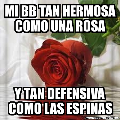 Meme Personalizado - Mi bb tan hermosa como una rosa Y tan defensiva ...