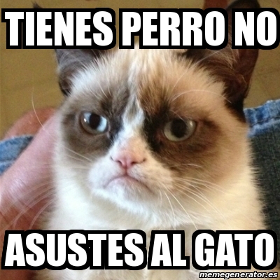 Meme Grumpy Cat - tienes perro no asustes al gato - 26730280