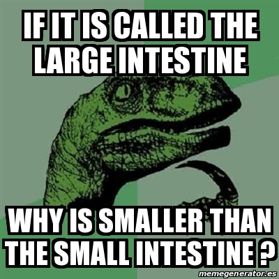 Meme Filosoraptor - If it is called the large intestine Why IS SMALLER ...