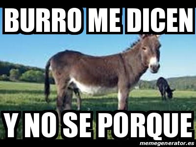 Meme Personalizado - BURRO ME DICEN Y NO SE PORQUE - 26809318