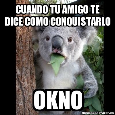 Meme Koala - CUANDO TU AMIGO TE DICE COMO CONQUISTARLO OKNO - 26810995
