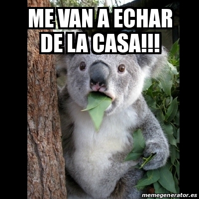 Meme Koala - Me van a echar de la casa!!! - 26851943