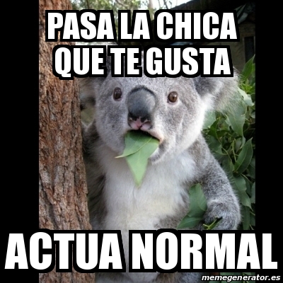Meme Koala - Pasa la chica que te gusta Actua normal - 26874676