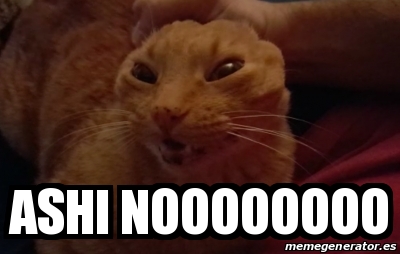 Meme Personalizado - Ashi noooooooo - 26096396