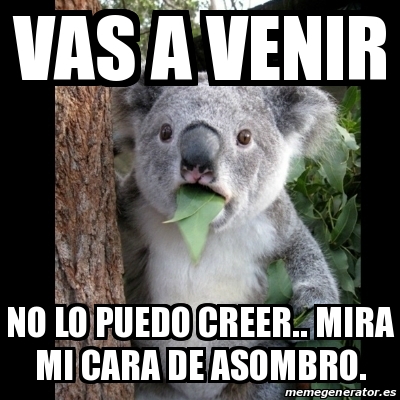 Meme Koala - vas a venir no lo puedo creer.. mira mi cara de asombro ...