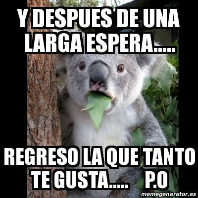 Meme Koala - Y DESPUES DE UNA LARGA ESPERA..... REGRESO LA QUE TANTO TE ...