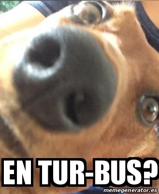 Meme Personalizado - En tur-bus? - 27188477