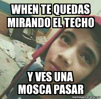 Meme Personalizado - when te quedas mirando el techo y ves una mosca ...
