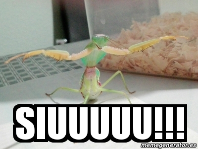 Meme Personalizado - SIUUUUU!!! - 27439208