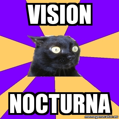 Meme Anxiety Cat - vision nocturna - 27476649