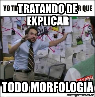 Meme Personalizado - Tratando de explicar todo morfologia - 27556632