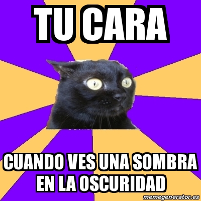 Meme Anxiety Cat - tu cara cuando ves una sombra en la oscuridad - 27613132