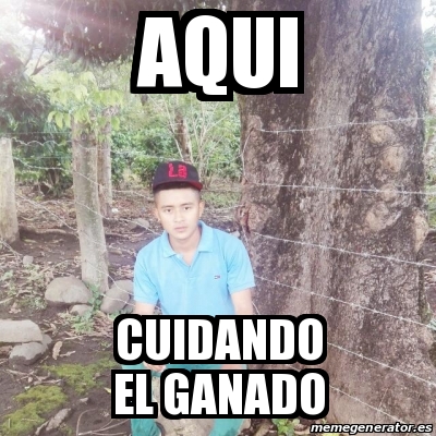 Meme Personalizado - Aqui Cuidando el ganado - 27824113