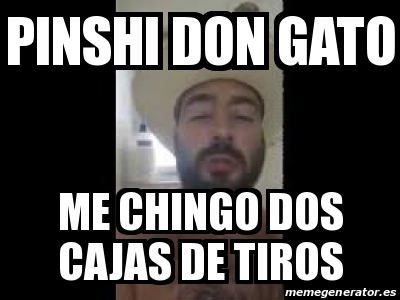 Meme Personalizado - Pinshi don gato Me chingo dos cajas de tiros ...