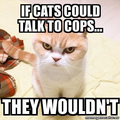 Meme Personalizado - If cats could talk to cops... They wouldn't - 27887255