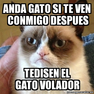 Meme Grumpy Cat - anda gato si te ven conmigo despues tedisen el gato ...