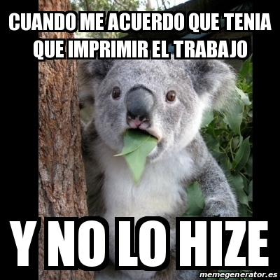 Meme Koala - Cuando me acuerdo que tenia que imprimir el trabajo y no ...