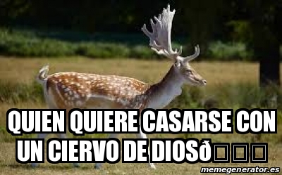 Meme Personalizado - Quien quiere casarse con un ciervo de DiosðŸ ...
