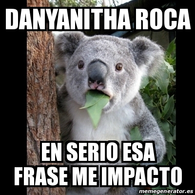 Meme Koala - danyanitha roca en serio esa frase me impacto - 28168155