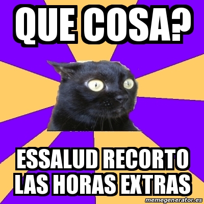 Meme Anxiety Cat - Que cosa? EsSalud recorto las horas extras - 28029776