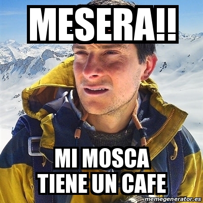 Meme Bear Grylls - mesera!! mi mosca tiene un cafe - 28212388