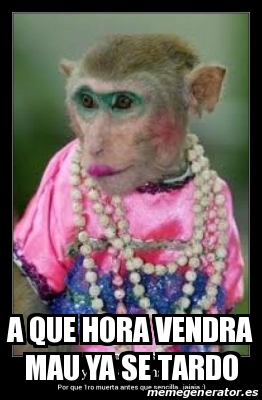 Meme Personalizado - A QUE HORA VENDRA MAU YA SE TARDO - 28221340