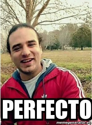 Meme Personalizado - Perfecto - 28234423
