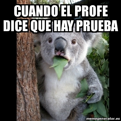 Meme Koala - cuando el profe dice que hay prueba - 28263881