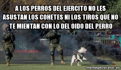 Meme Personalizado - a los perros del ejercito no les asustan los ...