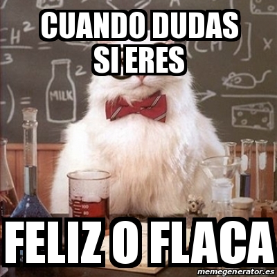 Meme Chemistry Cat - cuando dudas si eres feliz o flaca - 28292931