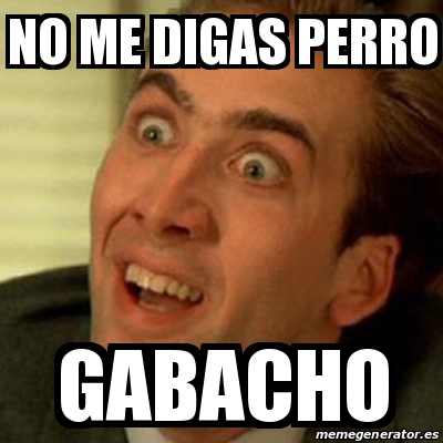 Meme No me digas - No me digas perro Gabacho - 28375986
