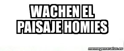 Meme Personalizado - wachen el paisaje homies - 28377668