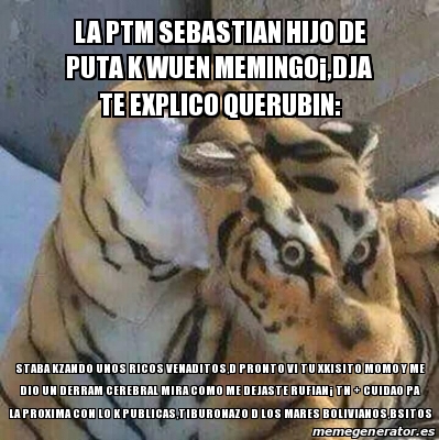 Meme Personalizado - LA PTM SEBASTIAN HIJO DE PUTA K WUEN MEMINGOÂ¡,DJA ...