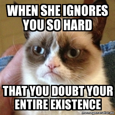 Meme Grumpy Cat - when she ignores you so hard That you doubt your ...