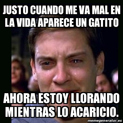 Meme crying peter parker - jUSTO CUANDO ME VA MAL EN LA VIDA APARECE UN ...