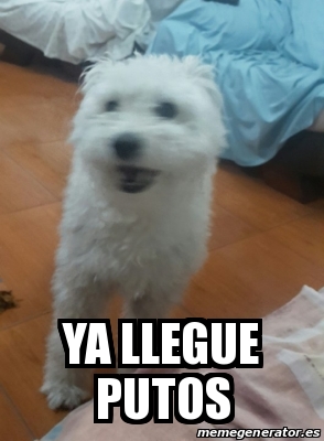 Meme Personalizado - ya llegue putos - 28485647