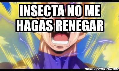 Meme Personalizado - Insecta no me hagas renegar - 28585125
