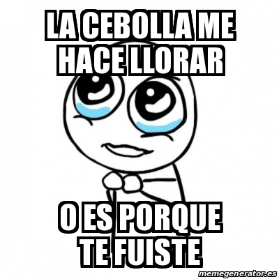 Meme Por favor - la cebolla me hace llorar o es porque te fuiste - 28588101
