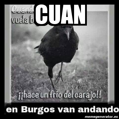 Meme Personalizado - Cuan - 28631583