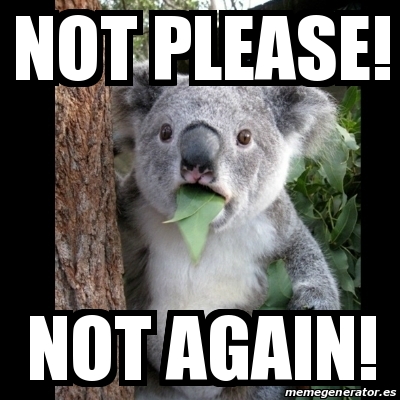 Meme Koala - not please! not again! - 28656046