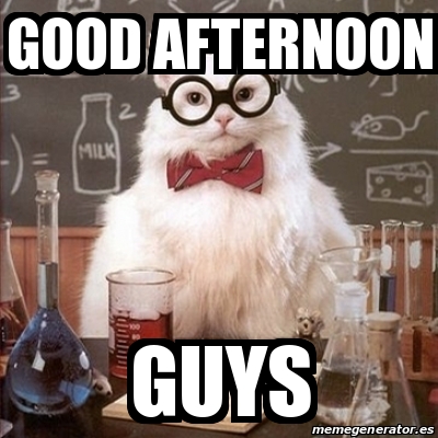 Meme Chemistry Cat - GOod afternoon guys - 28673211
