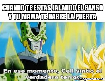 Meme Personalizado - cuando te estas jalando el ganso y tu mama te ...