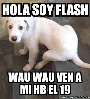 Meme Personalizado - Hola soy flash Wau wau ven a mi hb el 19 - 28712867